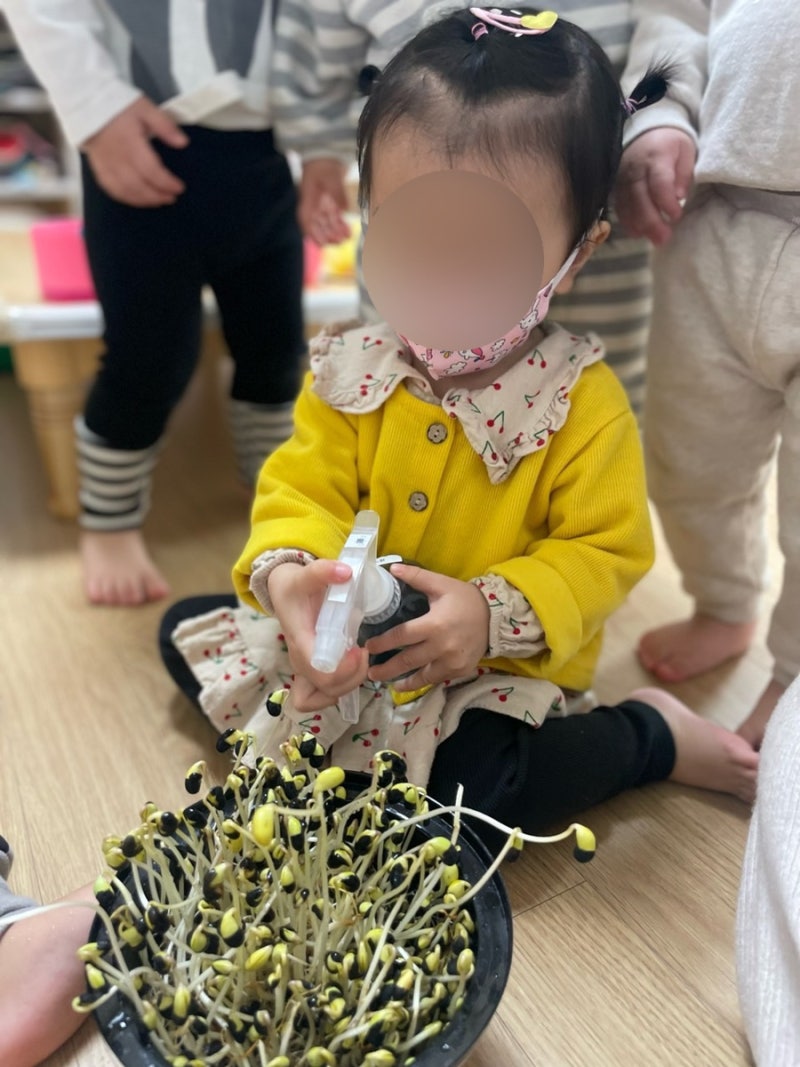 만 1세 오감놀이콩놀이콩나물놀이두부놀이 네이버 블로그