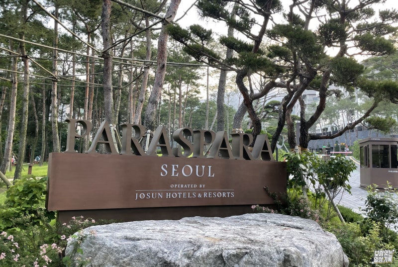 서울 호캉스 파라스파라 호텔and리조트 솔직한 이용후기 팀버스위트수영장우디플레이트 조식서울4인호텔숙소 가격 네이버 블로그
