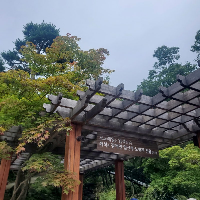 곤지암 화담숲 모노레일 코스 여름 가족여행으로 최고 네이버 블로그