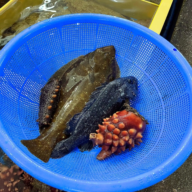 양양비치마켓 후진항 활어센터 딸부자집 모듬회 맛있는 강원도막장 네이버 블로그