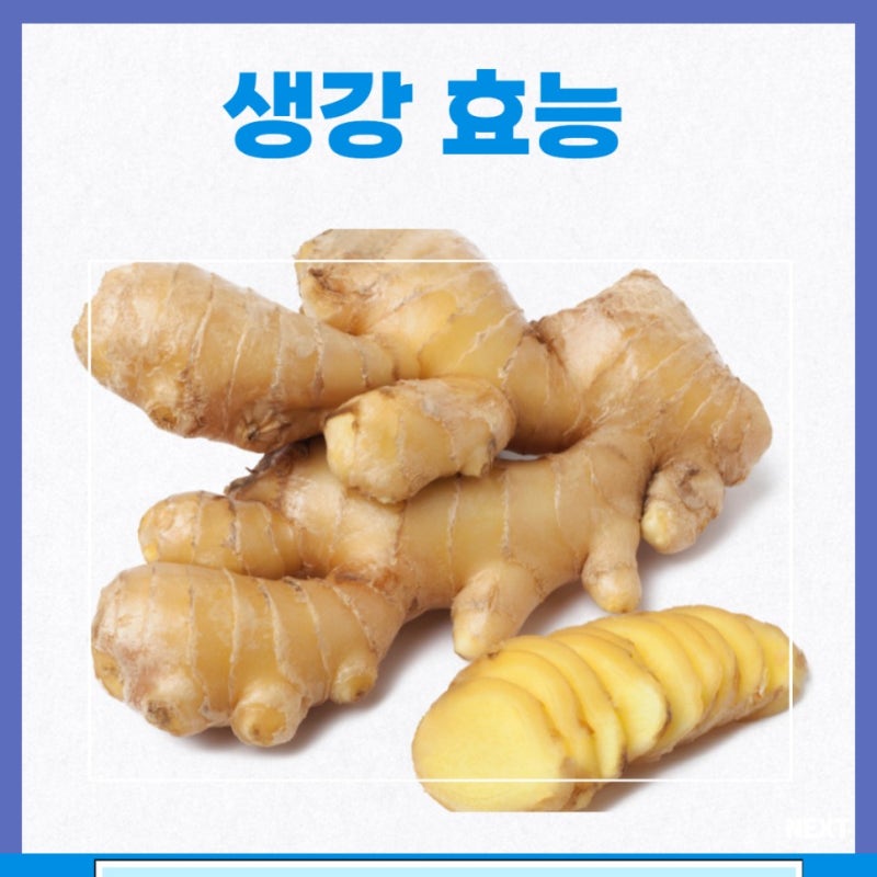 생강 효능 부작용 생강차 효능 말린 생강 편강 생강청 네이버 블로그