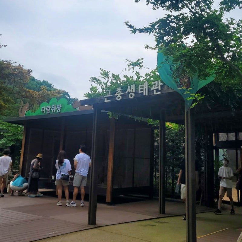 곤지암 화담숲 모노레일 코스 여름 가족여행으로 최고 네이버 블로그