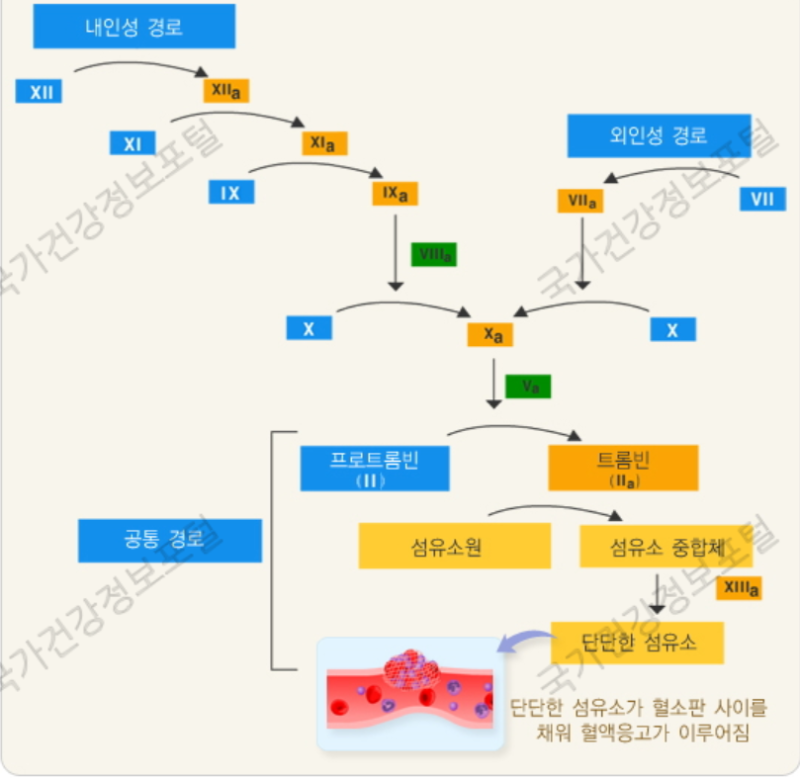 항응고제 기전 (와파린, 아스피린, NOAC, 항혈소판제) : 네이버 블로그