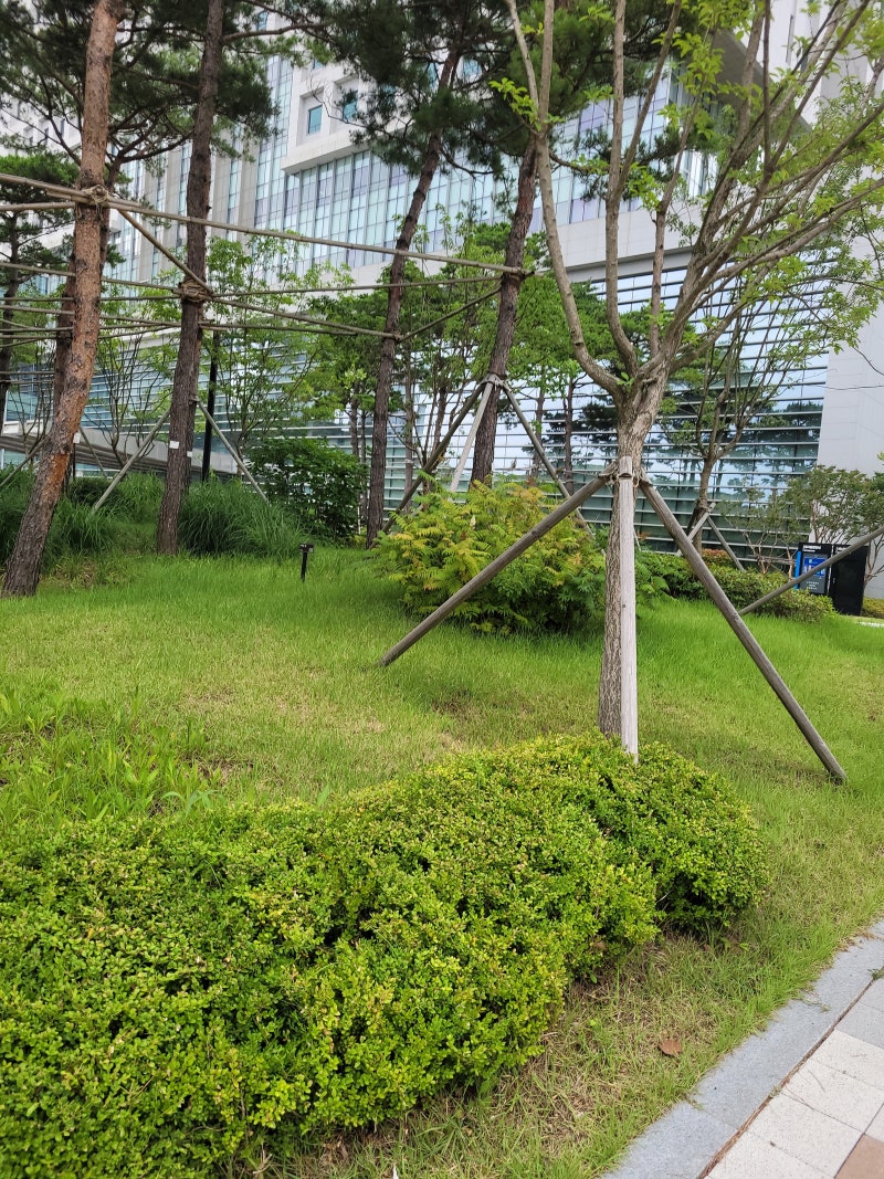 서민금융진흥원 부채증명서 온라인 발급 방법 네이버 블로그