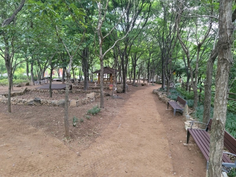진주 월아산 자연휴양림 산책로와 산림레포츠 Feat네트어드벤처 곡선형 짚라인 체험 즐기기 네이버 블로그
