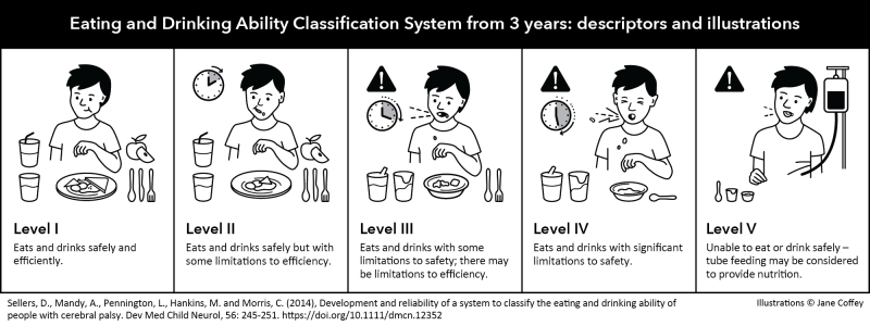 먹기와 마시기 기능 분류 시스템(Eating and Drinking Ability Classification System ...