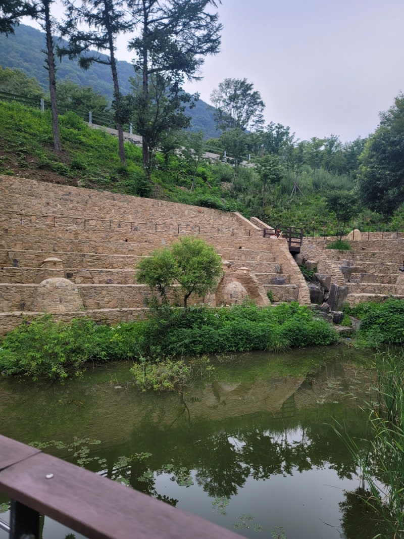 진주 월아산 자연휴양림 산책로와 산림레포츠 Feat네트어드벤처 곡선형 짚라인 체험 즐기기 네이버 블로그