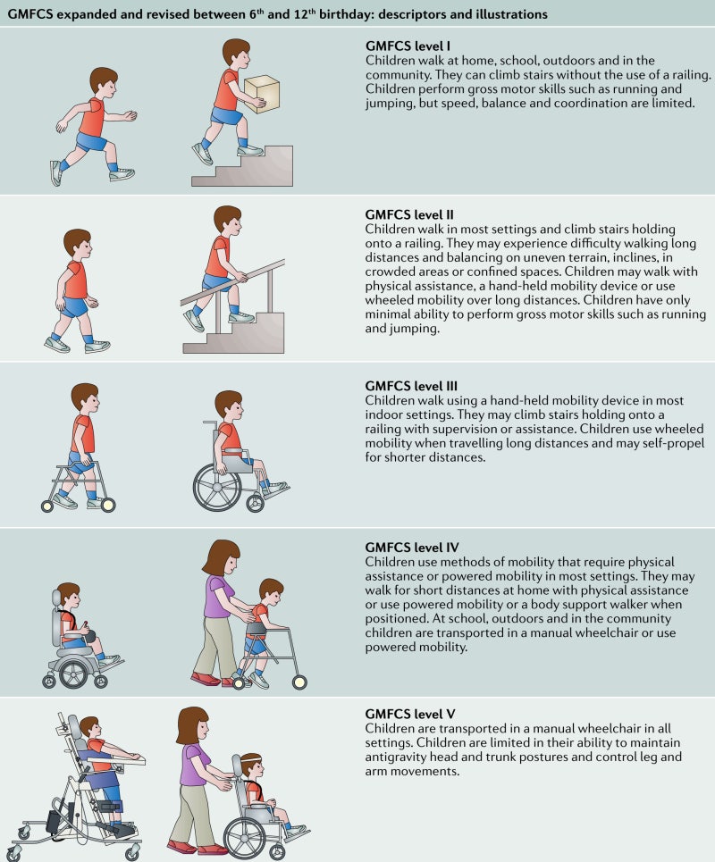 대운동기능분류시스템(Gross Motor Function Classification System; GMFCS) : 네이버 블로그