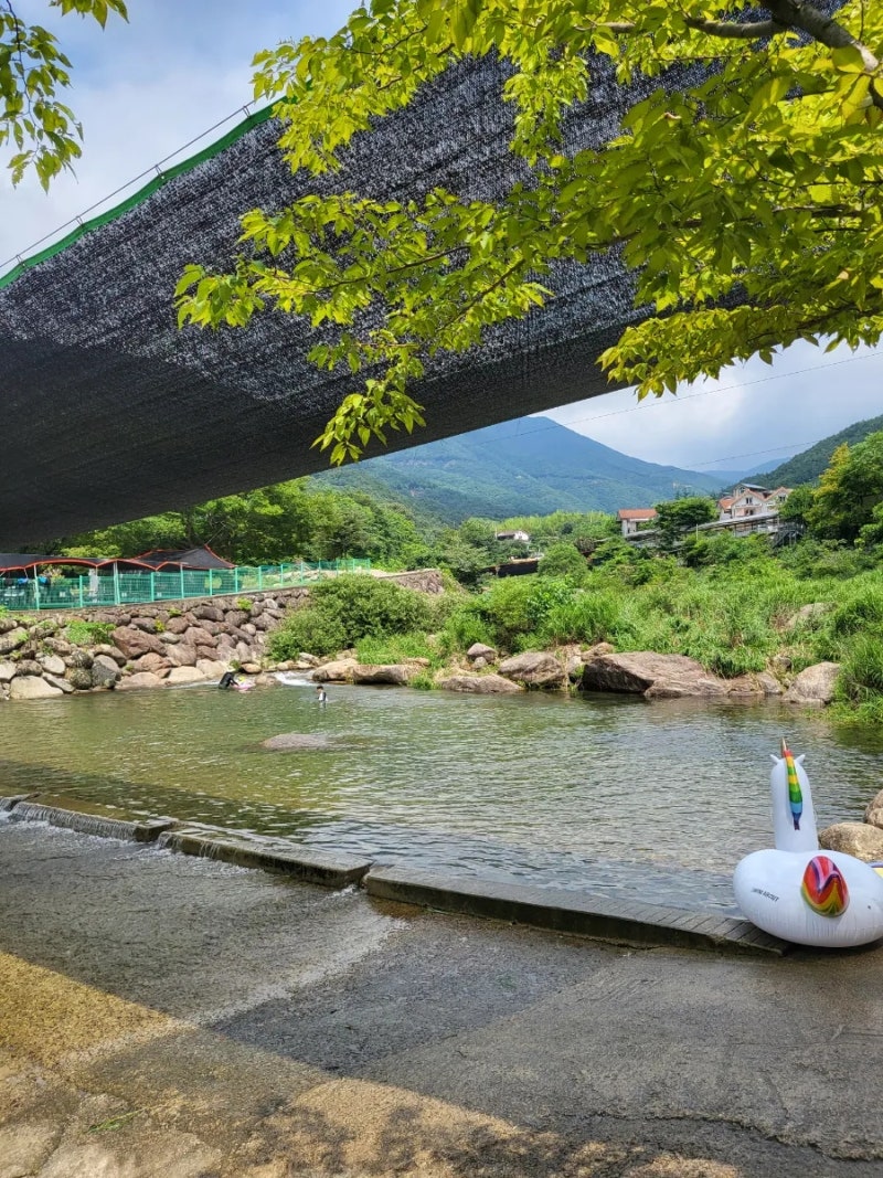 광양 계곡 산장 광양옥룡계곡 옥룡산장 캐빈하우스에서 닭구이 백숙 먹고 물놀이 ️ 네이버 블로그