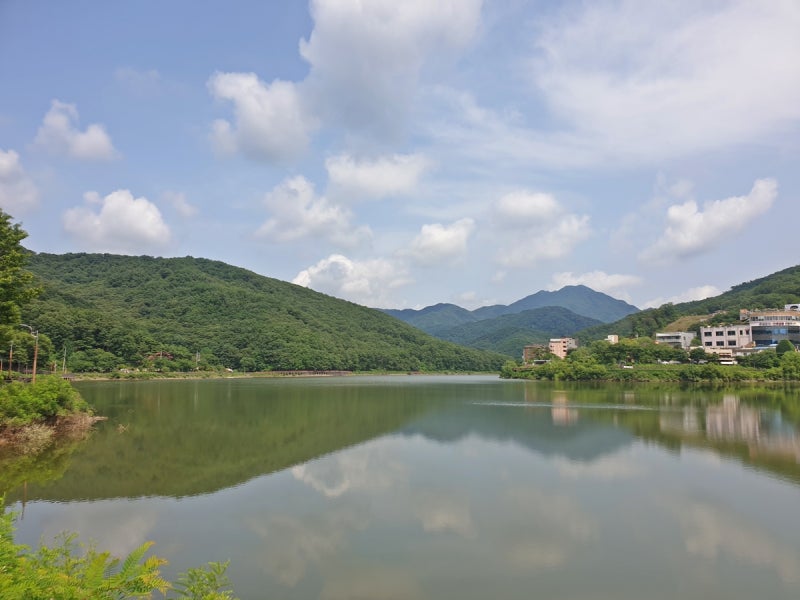 남양주 시민의 사계절 쉼터 오남호수공원 여름풍경 네이버 블로그