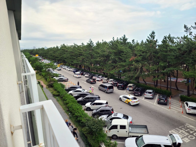 강릉 라카이 샌드파인 리조트 스튜디오 스위트 체크인 부터 알아보자 네이버 블로그