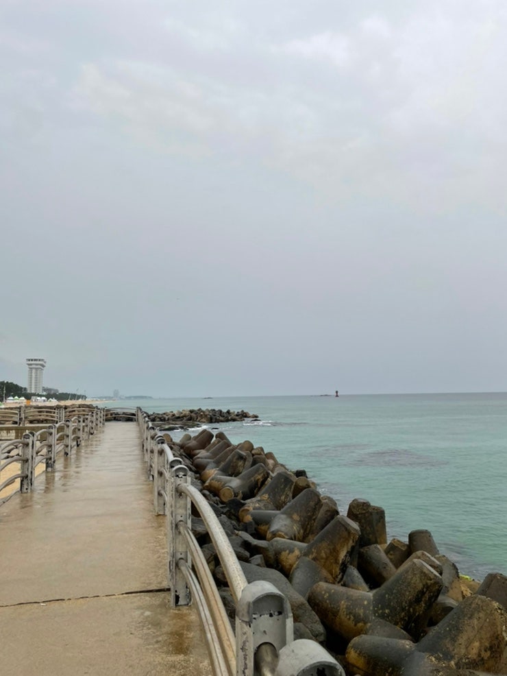 [강릉]1일차-강문해변,강릉네컷,초당순두부집&순두부젤라또,카페 툇마루,경포생태저류지,오죽헌,엄지네포장마차 : 네이버 블로그