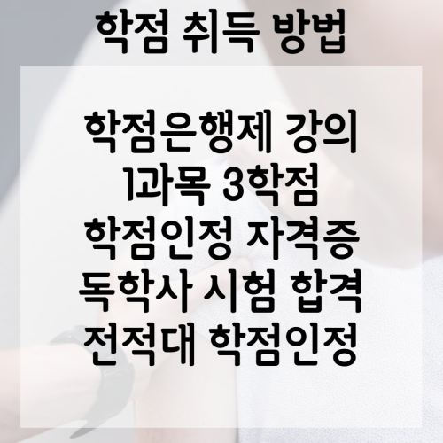 물리치료학과 대학 순위 어느 대학으로 가면 좋을까 네이버 블로그