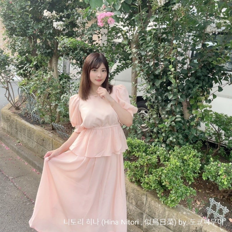 2000 / Hina Nitori / 似鳥日菜 / 니토리 히나 / AV / Japanese Porn