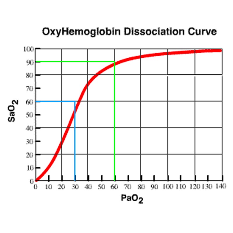 SpO2 SaO2 PaO2 FiO2 차이점과 개념정리 : 네이버 블로그