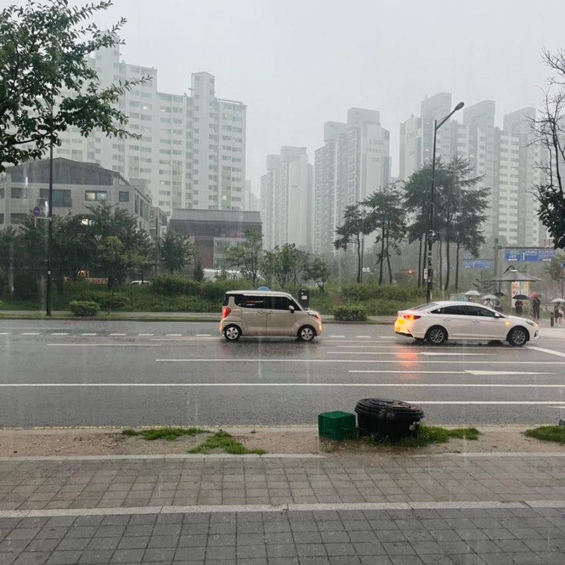 가성비 좋은 의정부 초밥 맛집 김호권의 청년어부 네이버 블로그