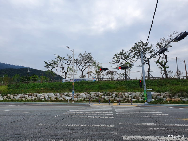 창원 2주 살기 12 1 진해 여좌천 진해 내수면 환경생태공원 진해중앙시장 이모손칼국수 물냉면 창원한달살기