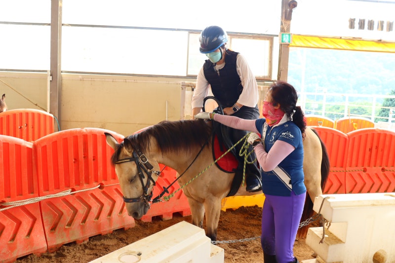 대구 승마장 아이와 함께 비슬승마체험장 다녀왔어요! : 네이버 블로그