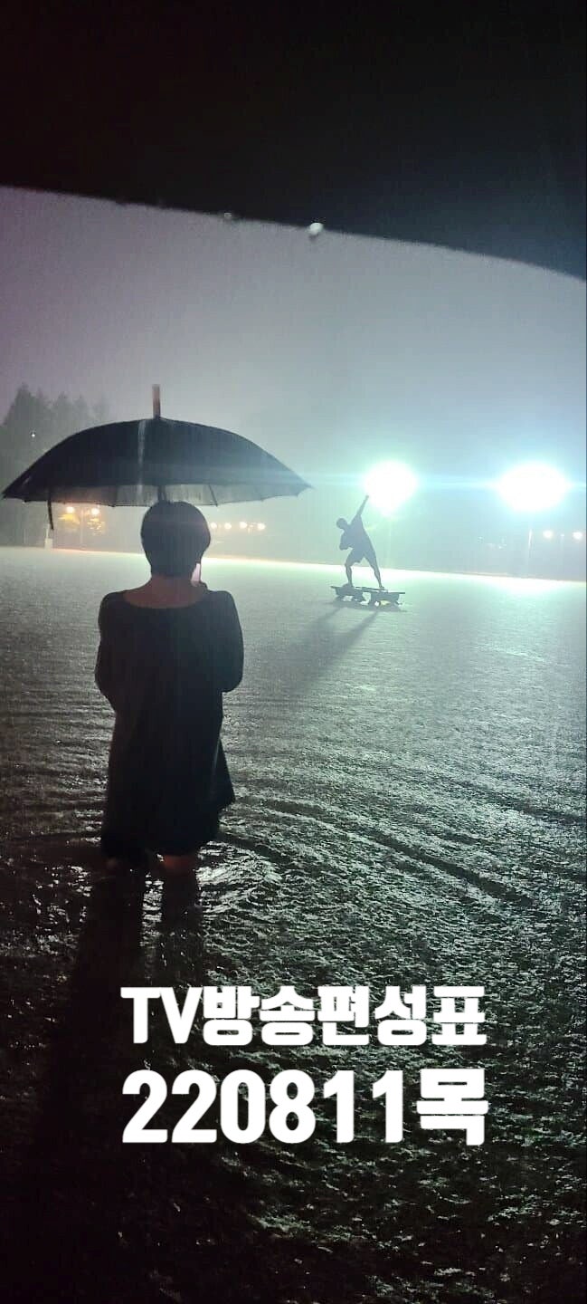 지상파 종편 TV방송편성표 220811(목) : 네이버 블로그