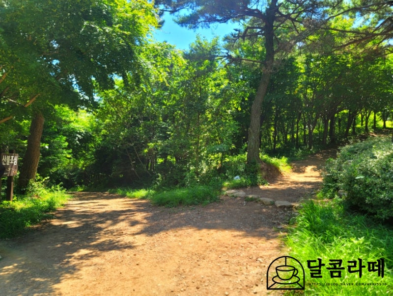 울산 무룡산 등산코스 화동못 수변공원 출발 구간 정리 네이버 블로그