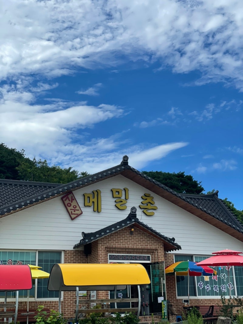 양양 메밀 맛 가득한 막국수 And 육개장 칼국수 상운메밀촌 네이버 블로그