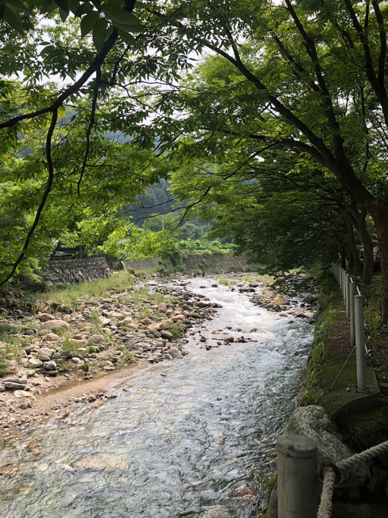 가평 어비계곡 유명산밸리캠핑장 솔직후기 네이버 블로그
