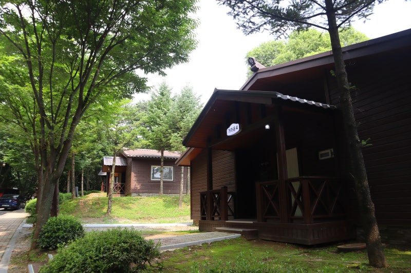 경기도민기자단 경기도 당일치기 여행지 추천 용인자연휴양림 숲캉스 가족여행 코스 5 네이버 블로그