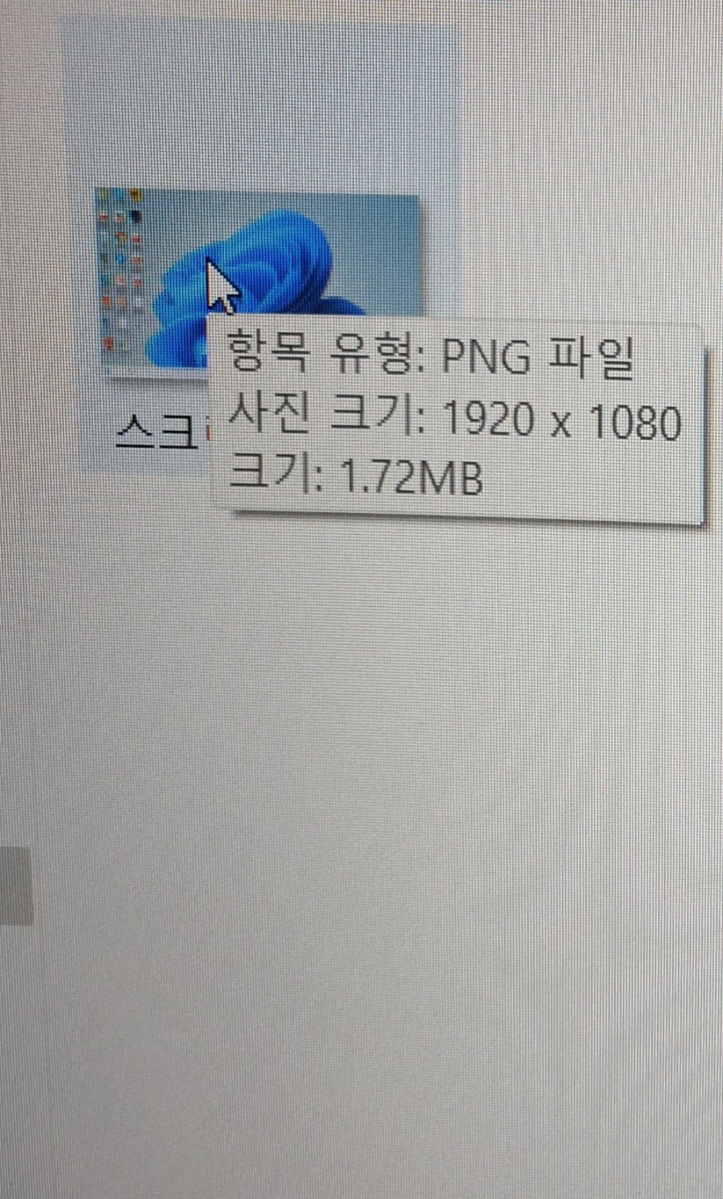 노트북 컴퓨터 화면 캡처하는 방법 스크린샷 찍는법 네이버 블로그