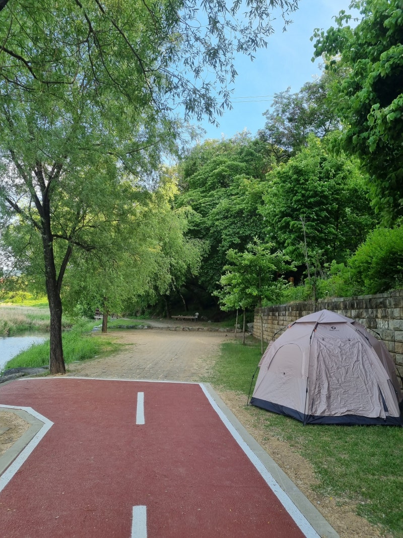 대전 아이와 가볼만한곳 나들이 하기좋은 대전 초지 공원으로 대전 근교 여행 떠나기 네이버 블로그