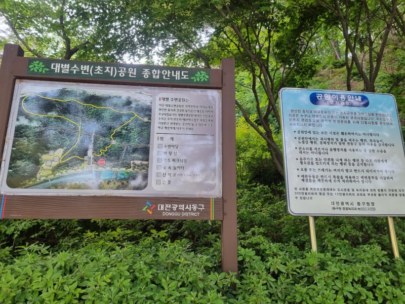 대전 아이와 가볼만한곳 나들이 하기좋은 대전 초지 공원으로 대전 근교 여행 떠나기 네이버 블로그