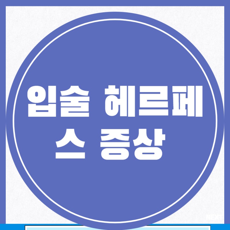 입술 헤르페스 증상 원인 수포 구순포진 치료 입술 물집 네이버 블로그