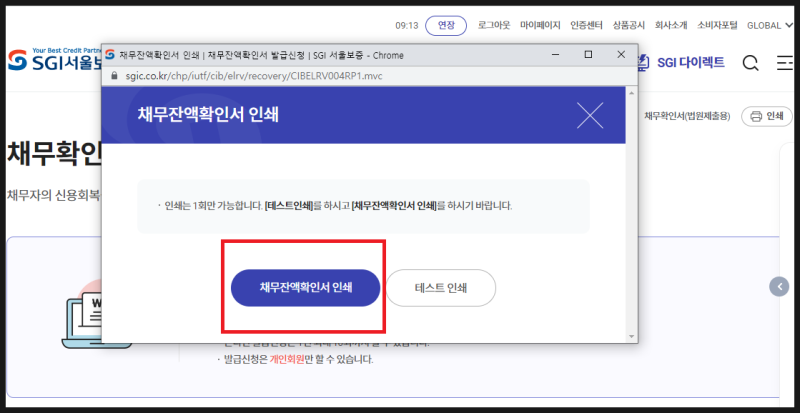 서울보증보험 채무 확인 부채증명서 발급 네이버 블로그