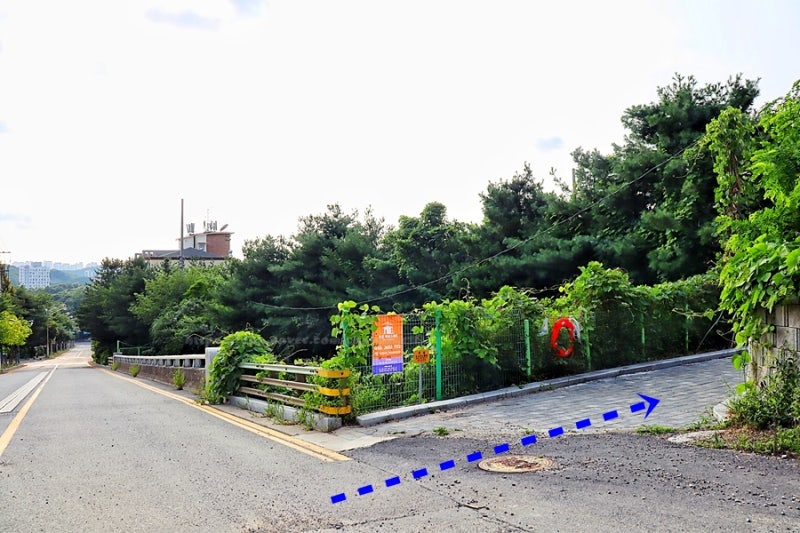 용인 석성산 등산코스 동백 은성사 등산로 네이버 블로그