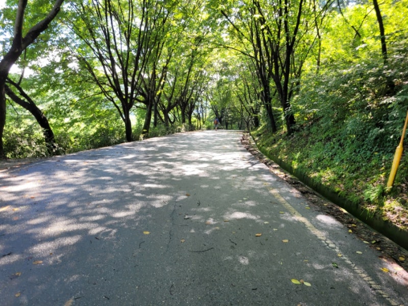 대전 계족산 황톳길 145km 맨발걷기 나들이 맨발걷기 77일째 네이버 블로그