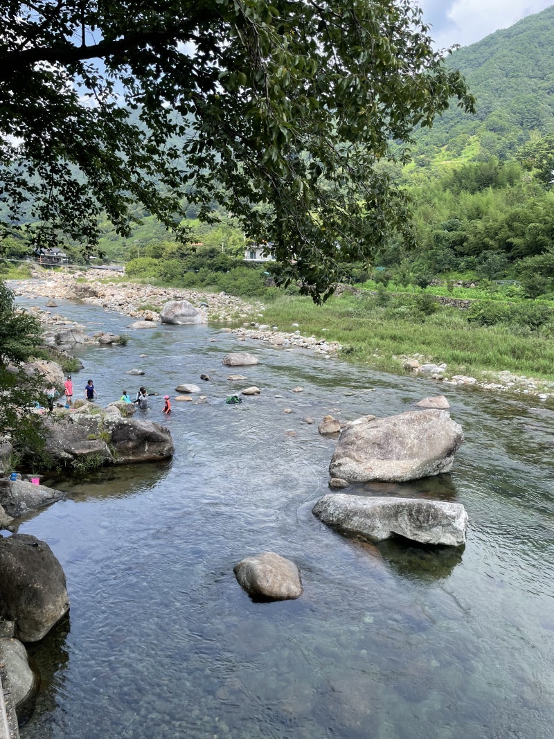 가족 나들이 / 하동 / 지리산 계곡 / 쌍계사 계곡 / 평상대여 / 산골산장 / 물놀이 / 진주 맛집 : 네이버 블로그