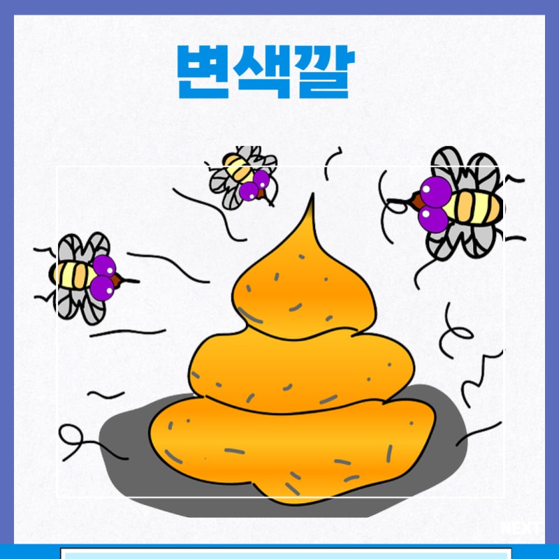 변 색깔 붉은색변 초록색변 혈변 갈색변 검은색변 주황색변 회백색변 노란색변 백색변 똥색깔 대변색깔 네이버 블로그