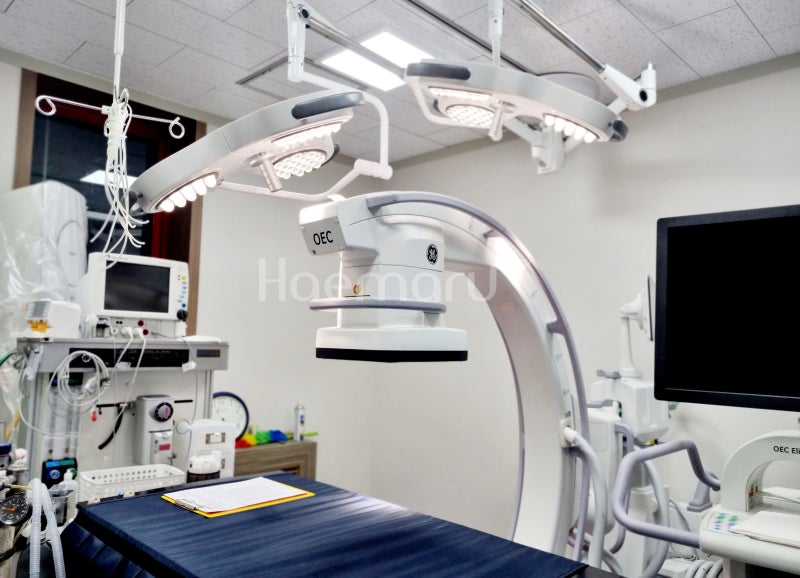 강아지 동맥관 개존증 PDA를 수술없이 치료하는 ACDO 시술 사례 (해마루 인터벤션센터) : 네이버 블로그