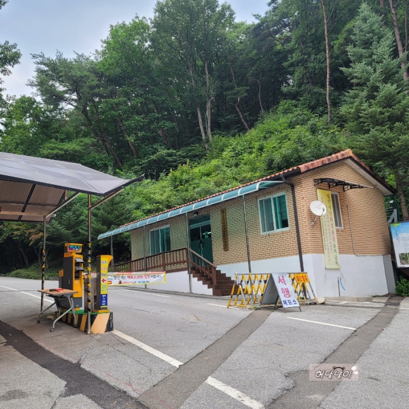 오도산자연휴양림 숲속의 집 숙박 후기물놀이 장소로 최고 네이버 블로그