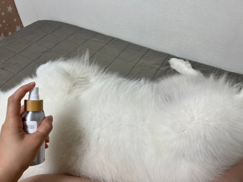 강아지진드기퇴치제 바스몽 해충방지 스프레이 봄~가을 애견인필수품 네이버 블로그