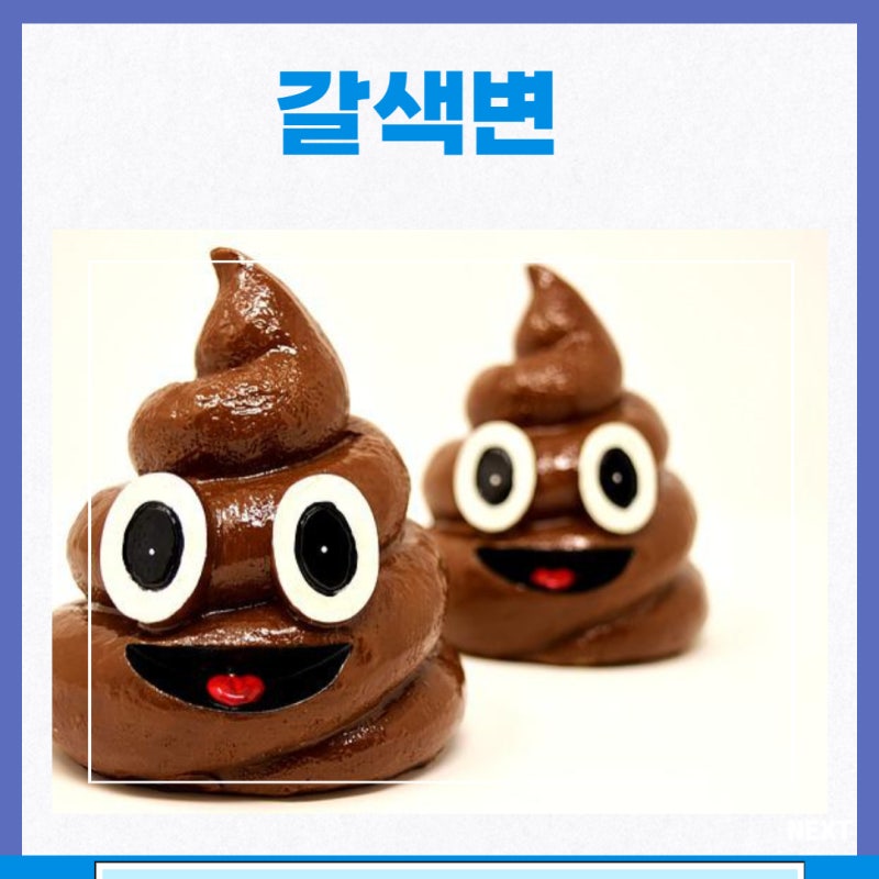변 색깔 붉은색변 초록색변 혈변 갈색변 검은색변 주황색변 회백색변 노란색변 백색변 똥색깔 대변색깔 네이버 블로그