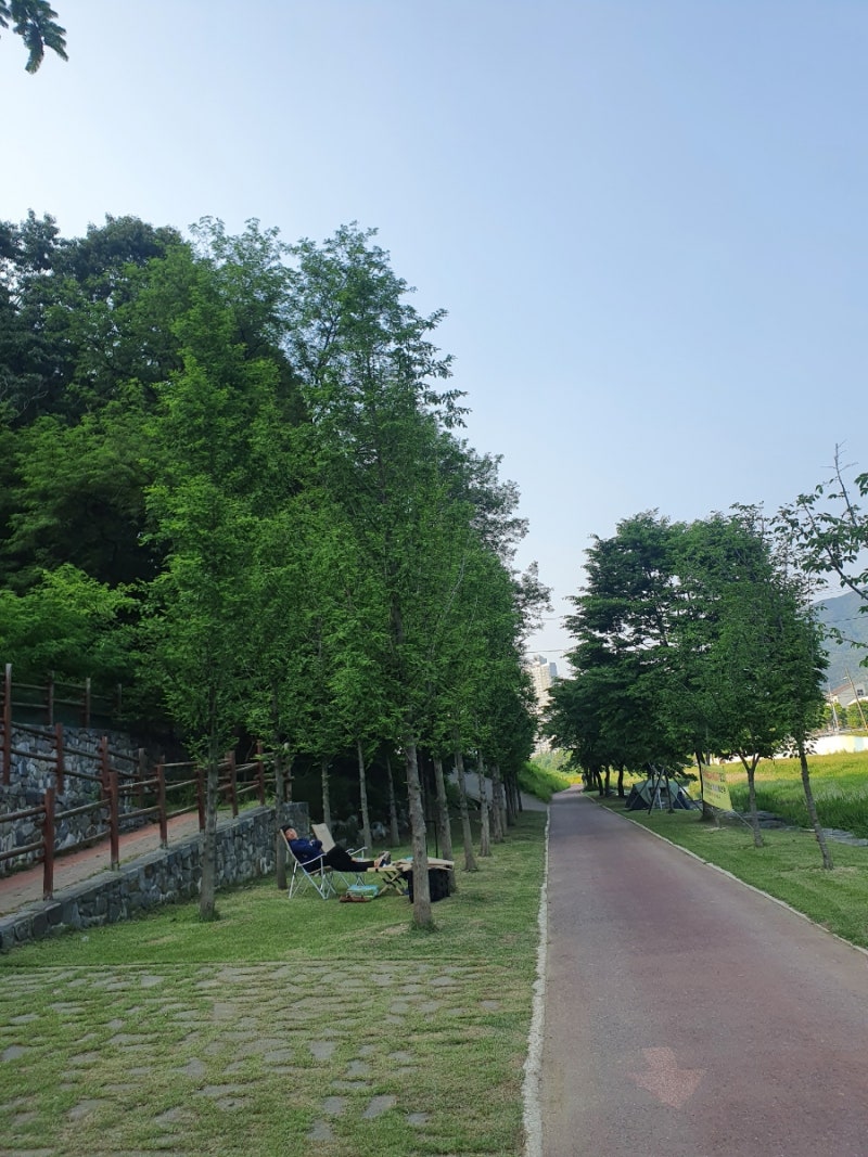 대전 아이와 가볼만한곳 나들이 하기좋은 대전 초지 공원으로 대전 근교 여행 떠나기 네이버 블로그