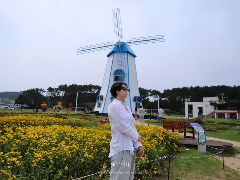 울산 간절곶 울산 바닷가 가볼만한곳 주차 관광명소 포토존 네이버 블로그