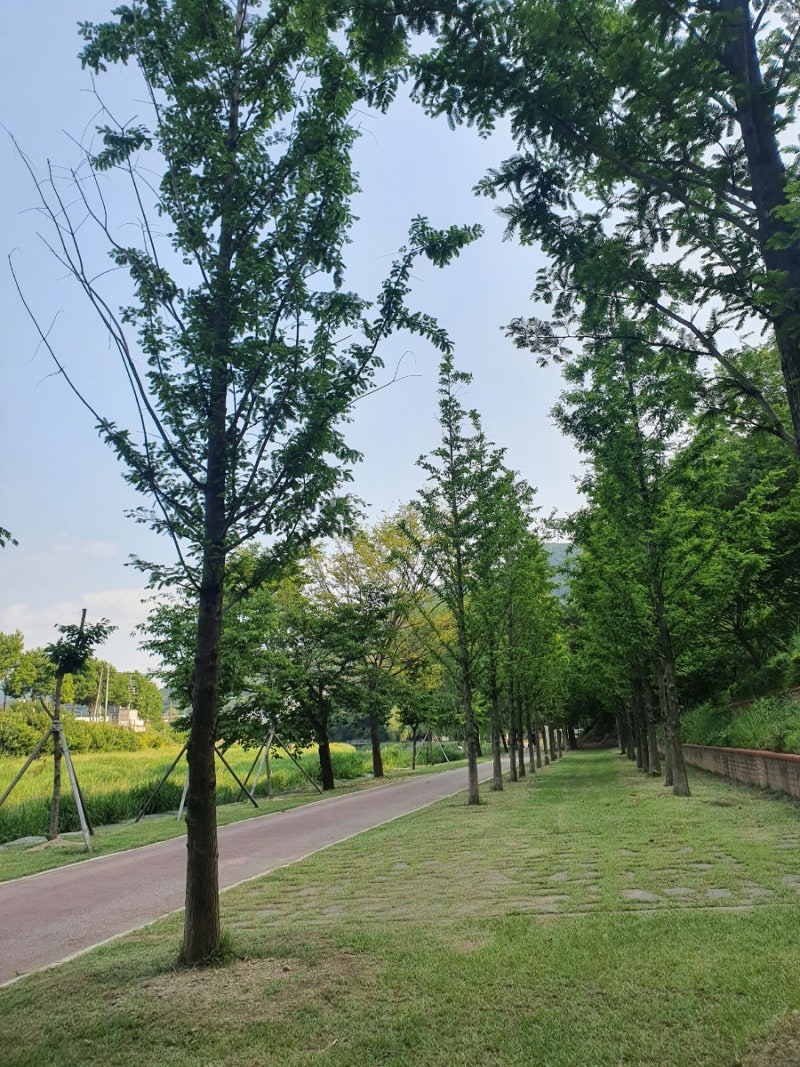 대전 아이와 가볼만한곳 나들이 하기좋은 대전 초지 공원으로 대전 근교 여행 떠나기 네이버 블로그