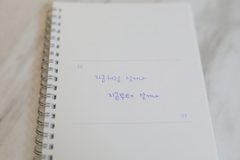 모트모트 스터디플래너 텐미닛 100days 아트박스 품 poom : 네이버 블로그