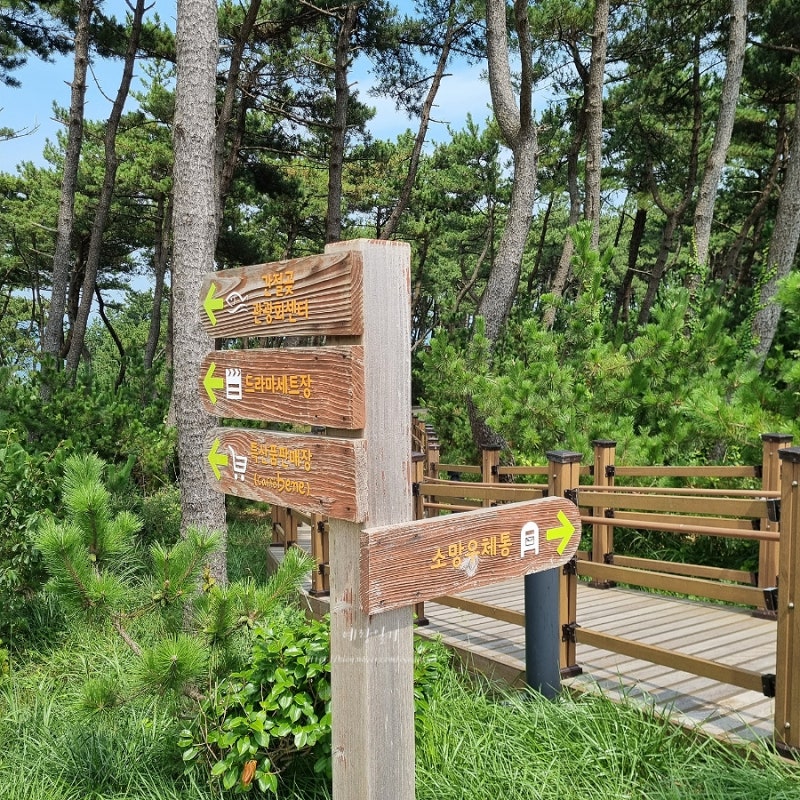 울산 간절곶 울산 바닷가 가볼만한곳 주차 관광명소 포토존 네이버 블로그