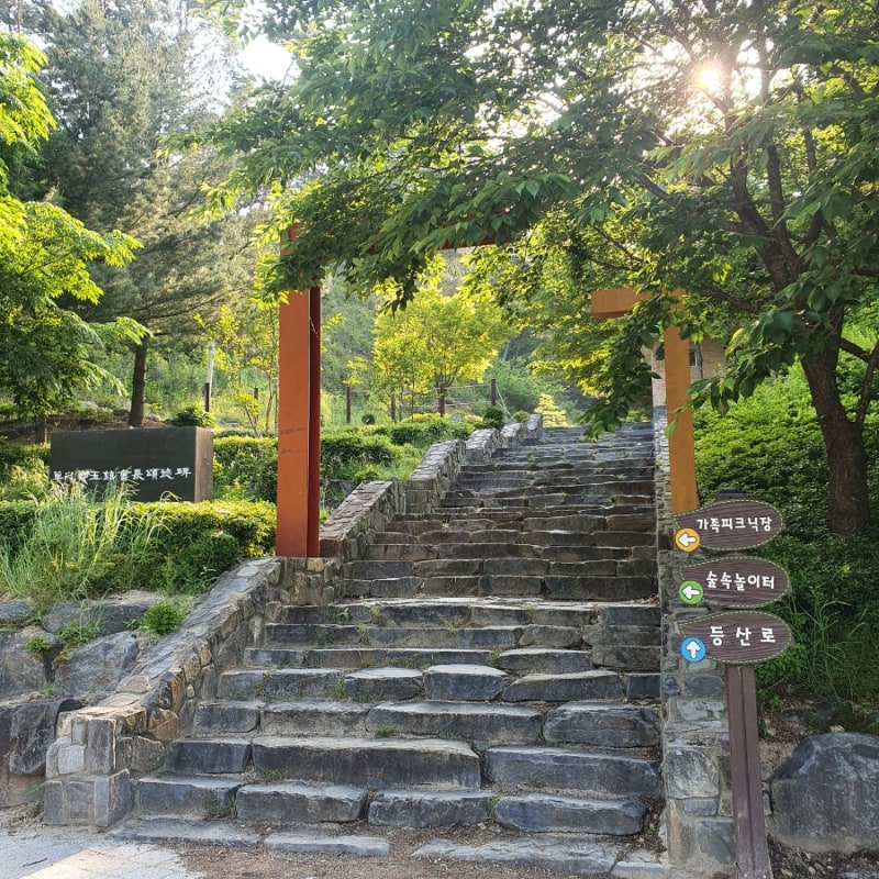 대전 아이와 가볼만한곳 나들이 하기좋은 대전 초지 공원으로 대전 근교 여행 떠나기 네이버 블로그