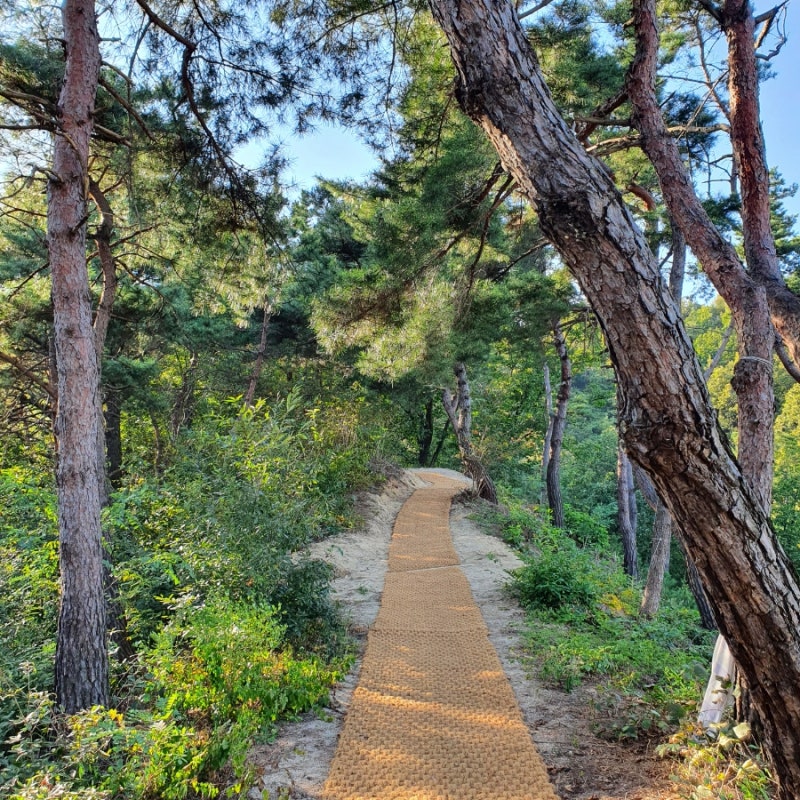대전 아이와 가볼만한곳 나들이 하기좋은 대전 초지 공원으로 대전 근교 여행 떠나기 네이버 블로그