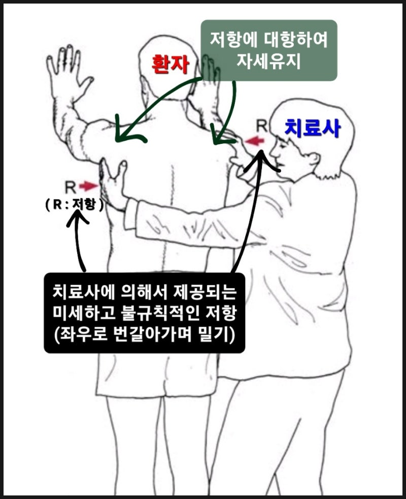 회전근개돌림근띠 Rotator Cuff의 고유수용성감각과 어깨안정성 관계 네이버 블로그