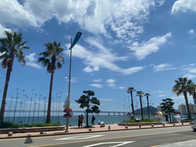 부산여행 철판구이 광안리 구로마쯔 내돈내먹 후기 네이버 블로그