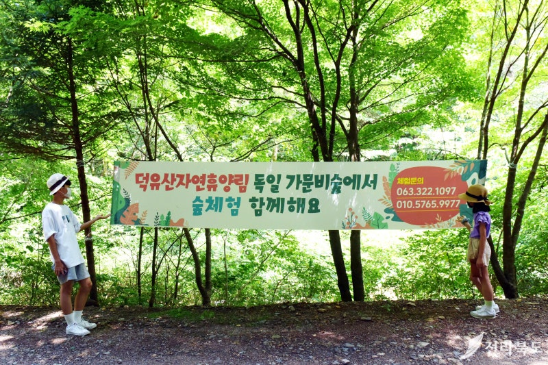 전북의 숲 따라 무주 여행 덕유산 자연휴양림 네이버 블로그